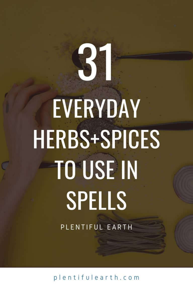 31 Everyday Herbs And Spices That You Can Use In Spells