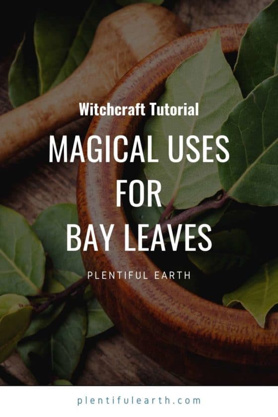 Bay Leaves: Magical & Spiritual Uses In Spells & Witchcraft