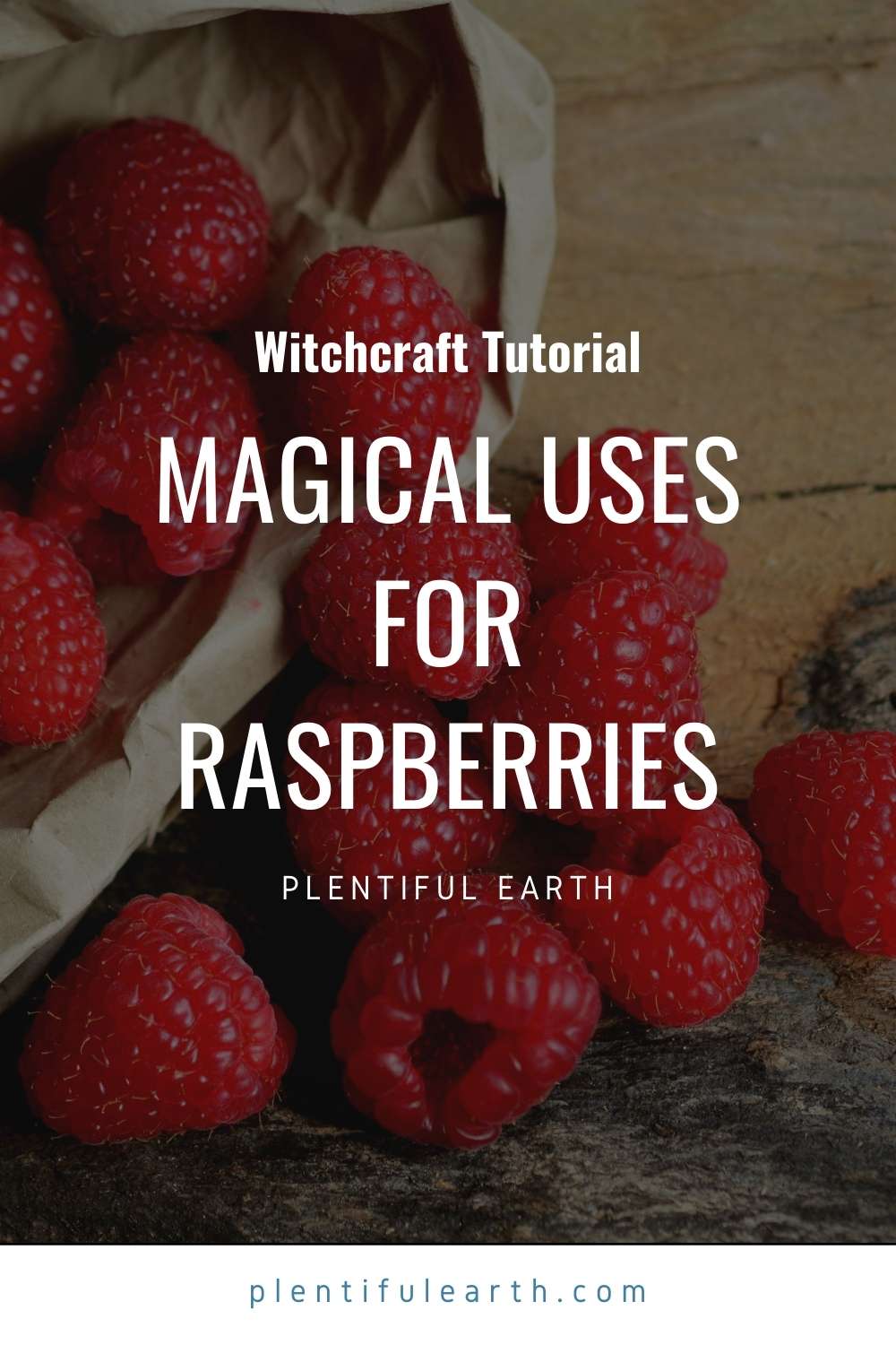 Magical Properties Of Raspberry: Spiritual Meanings & Use In Spells