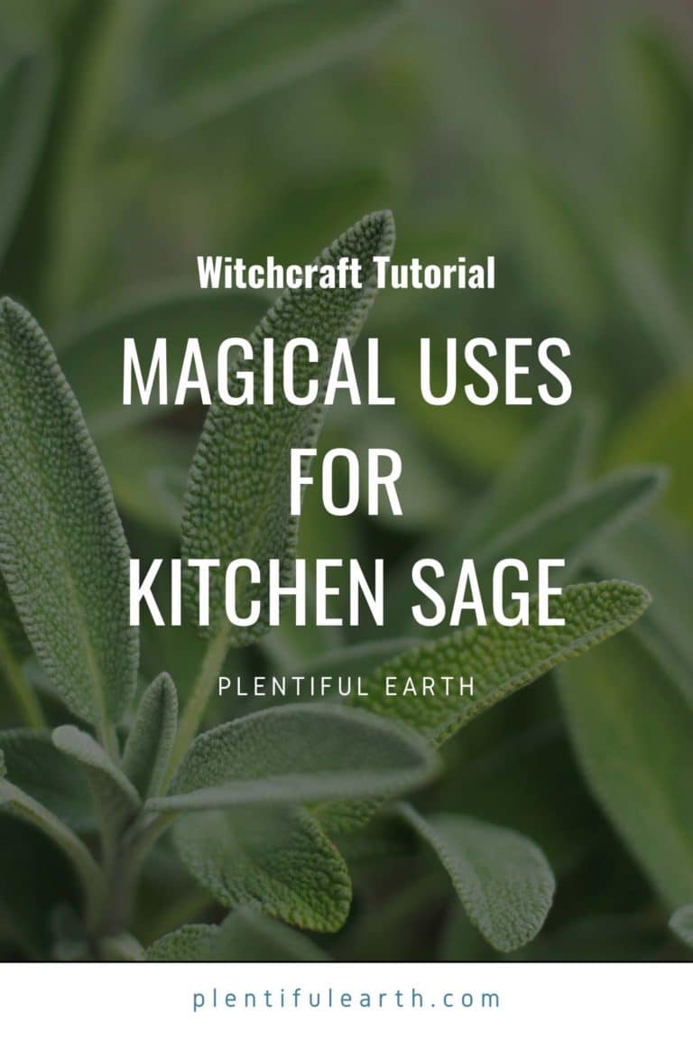 Magickal Correspondences Of Common Sage
