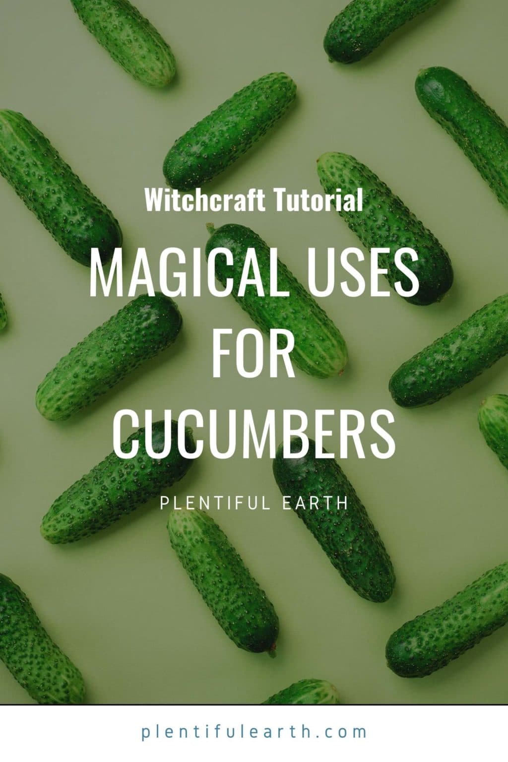 Cucumber: Spiritual Meaning & Magical Uses In Spells & Witchcraft