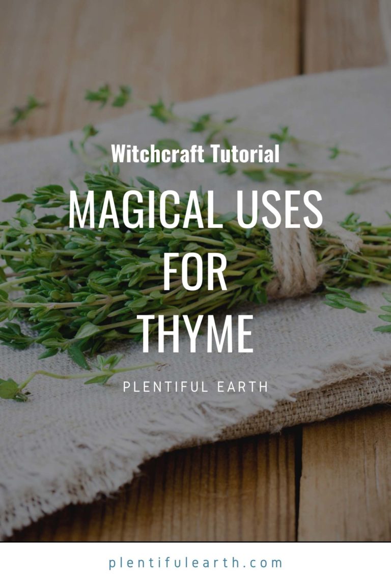 Magickal Properties Of Thyme In Spells - Plentiful Earth