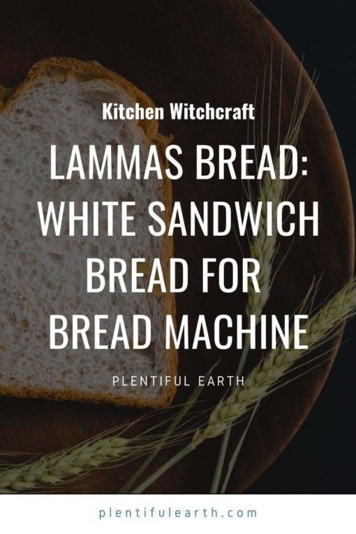 Lammas Bread Recipe: White Sandwich Bread For Bread Machine