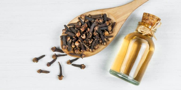 Cloves: Spiritual Meanings & Magical Uses In Spells & Witchcraft