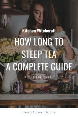 How Long To Steep Tea - A Complete Guide