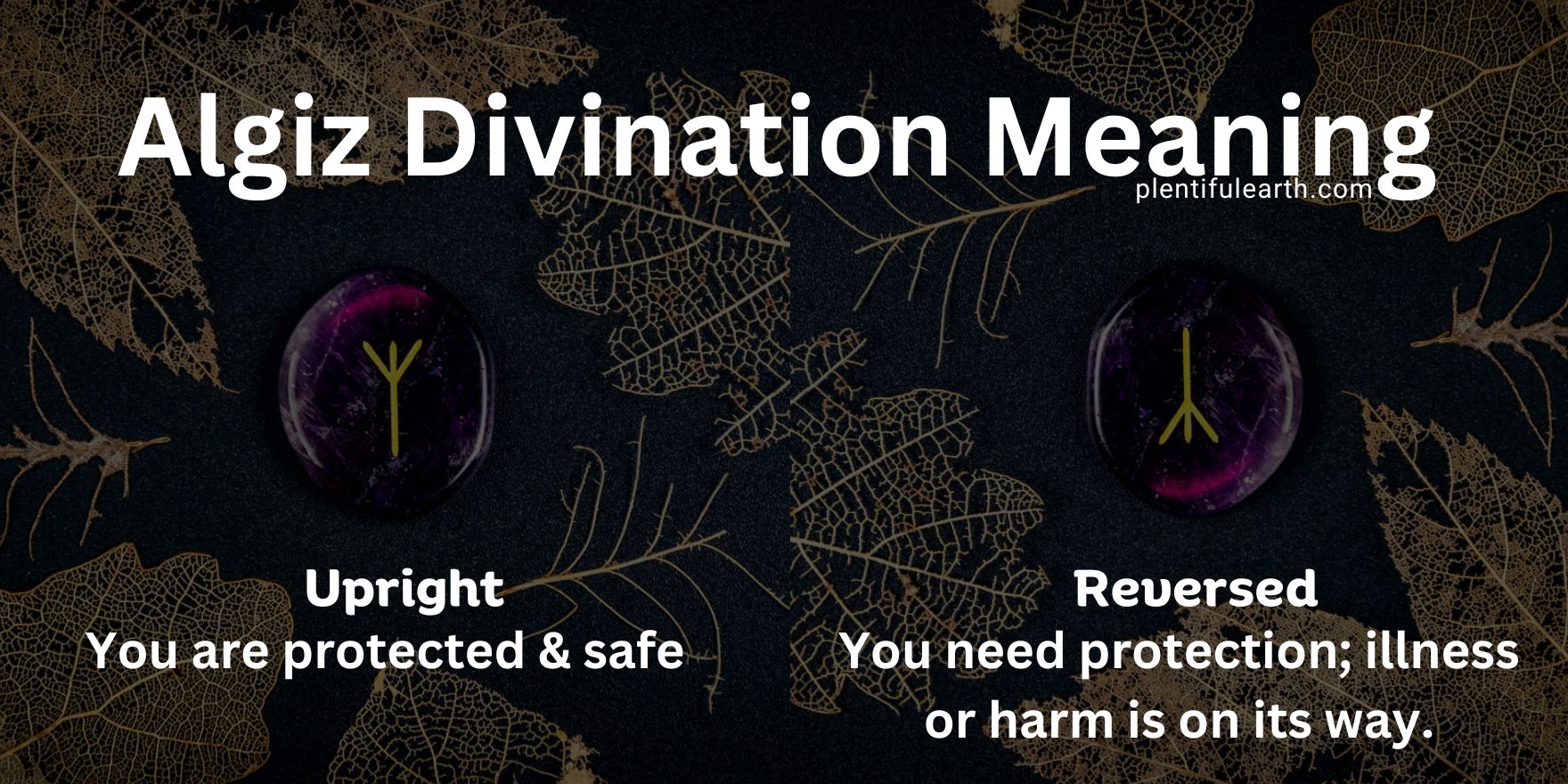 Algiz Rune: History & How To Unlock Its Protective Power