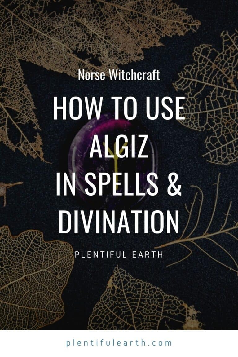 Algiz Rune: History & How To Unlock Its Protective Power
