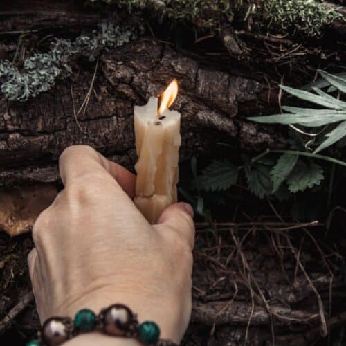 Free Famous Cinnamon Money Spell » Plentiful Earth