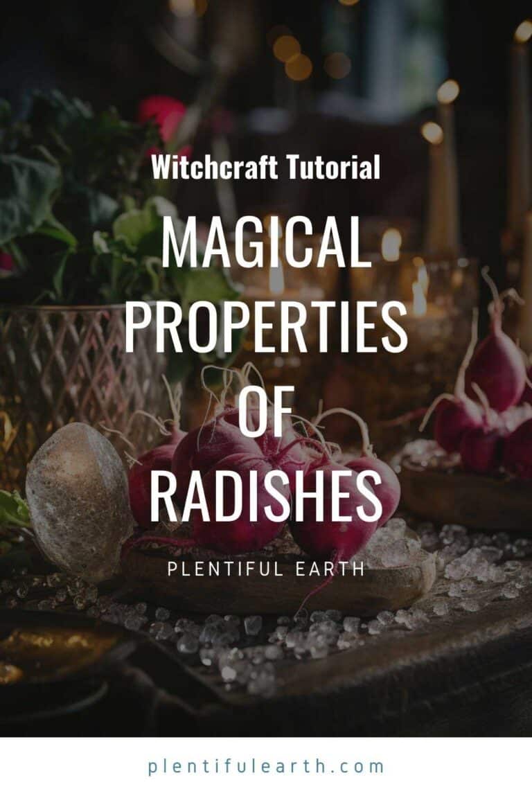 10 Magical Properties of Radish | How to Use Radish in Spells